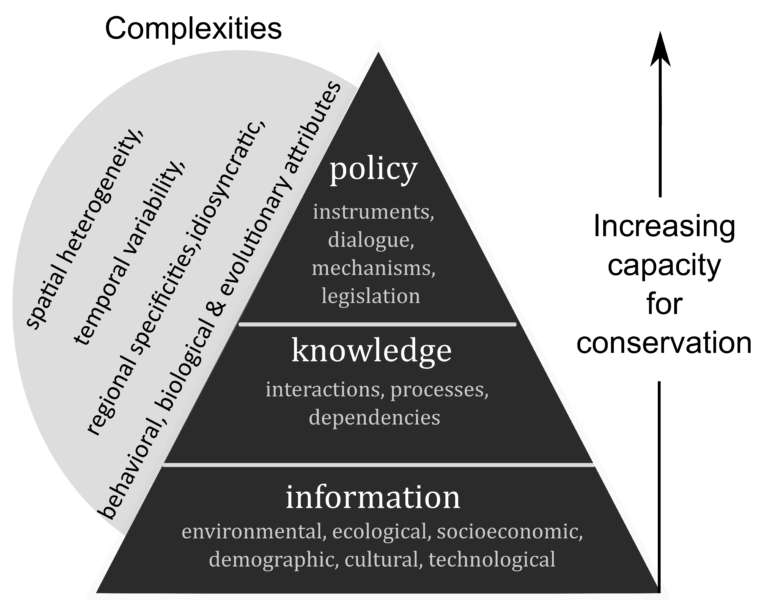 New paper: Open data and the future of conservation biology - Antonios ...